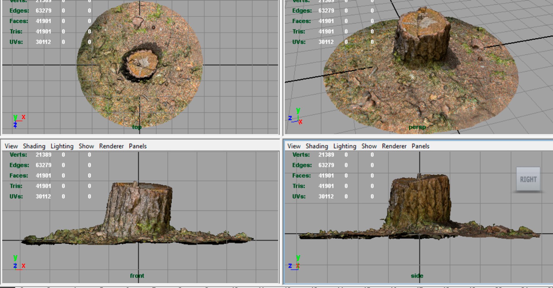 3D realistic tree stump - TurboSquid 1161539
