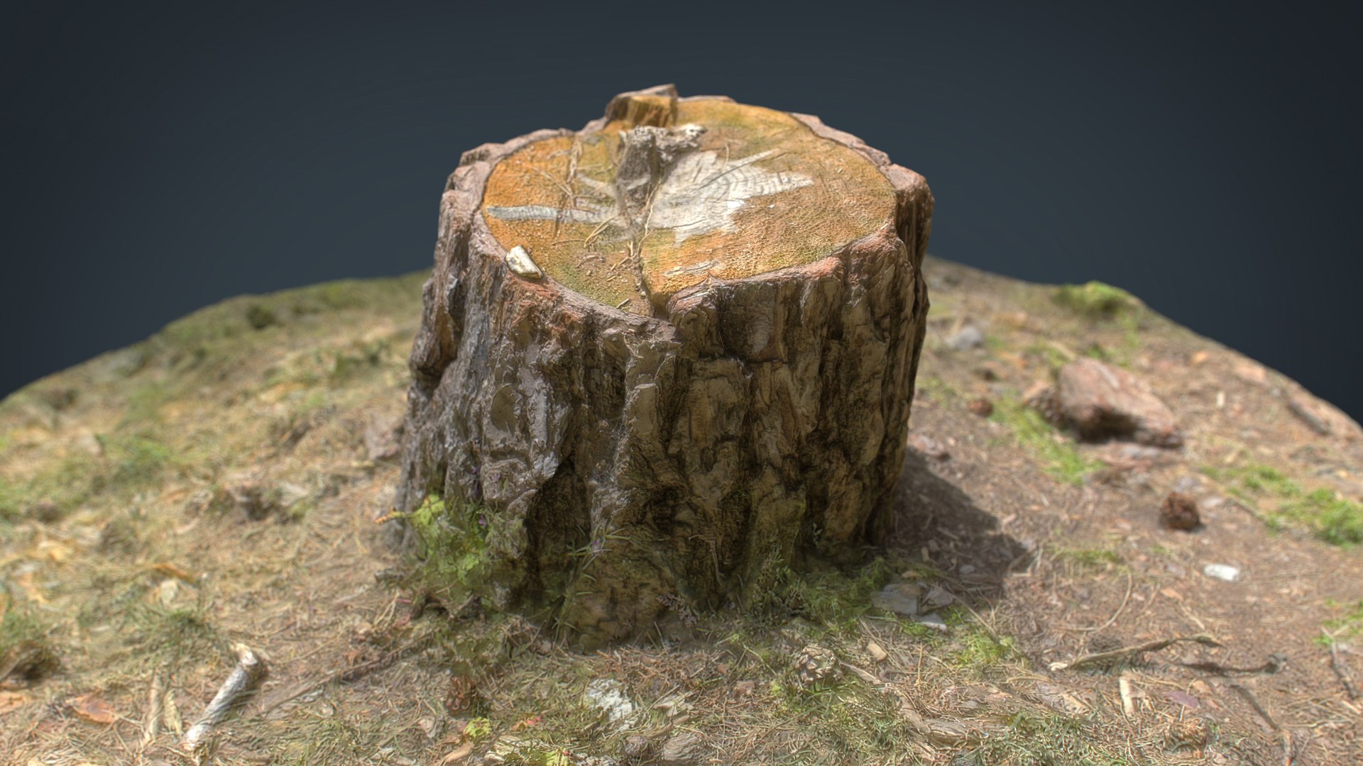 3D realistic tree stump - TurboSquid 1161539