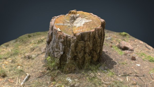 3D realistic tree stump - TurboSquid 1161539