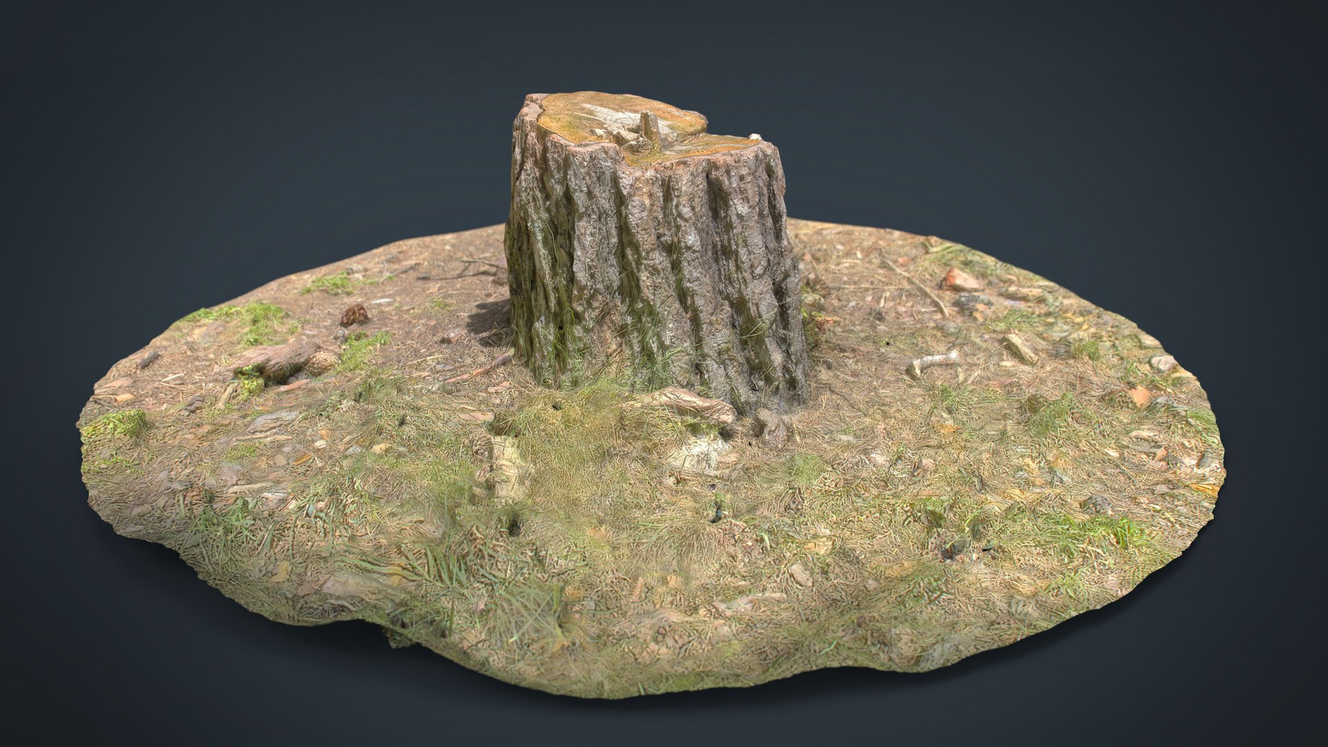 3D realistic tree stump - TurboSquid 1161539