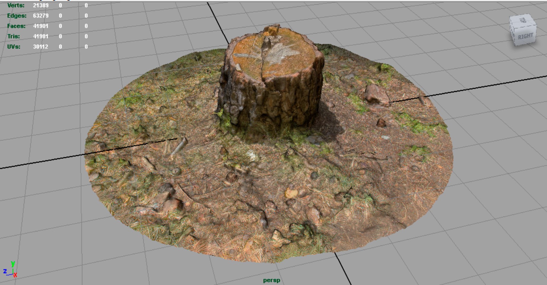 3D realistic tree stump - TurboSquid 1161539