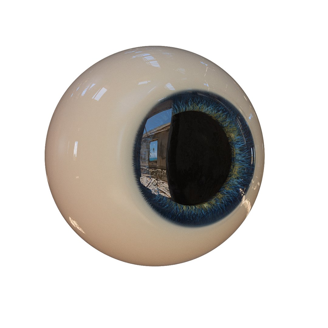 3d model eye