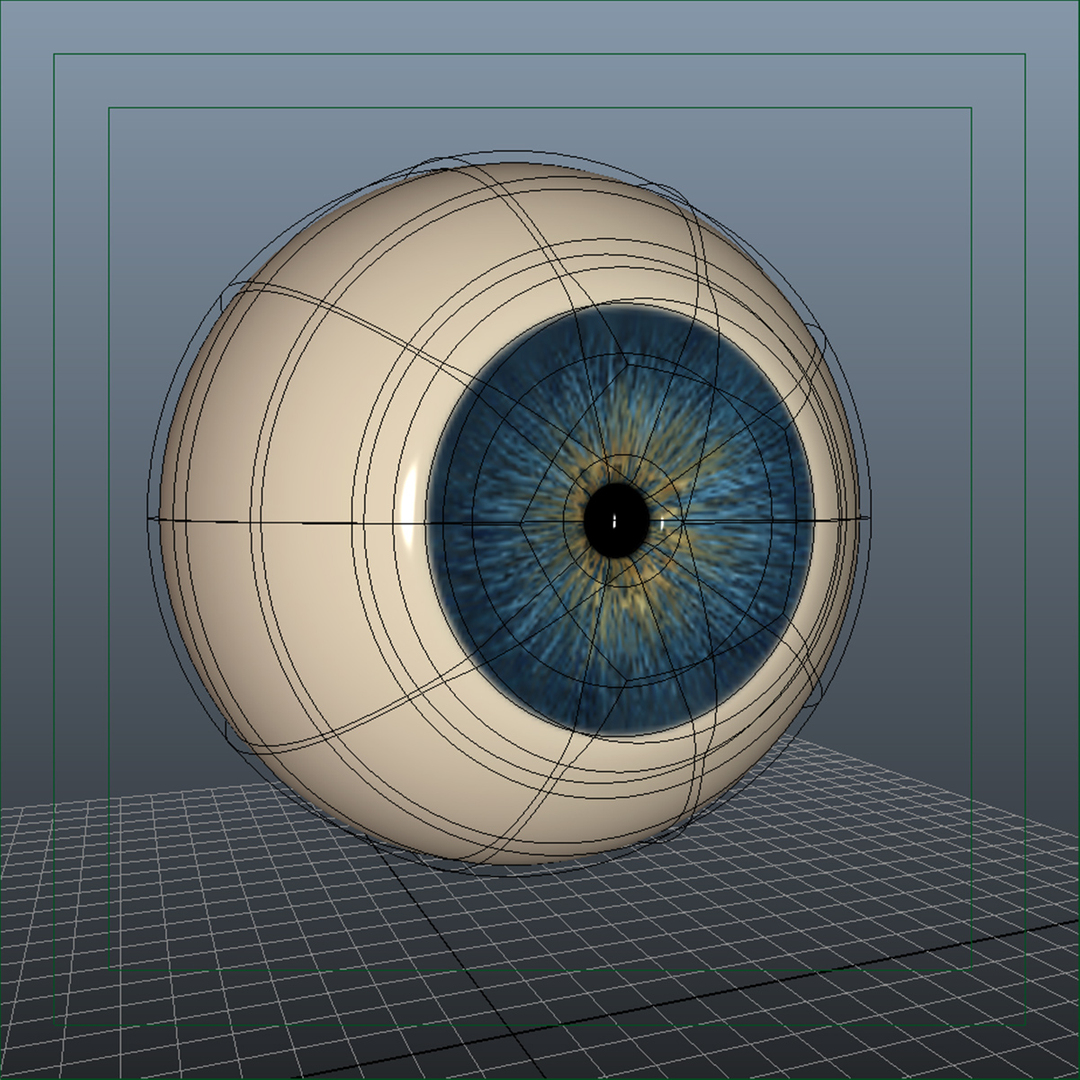 3d model eye