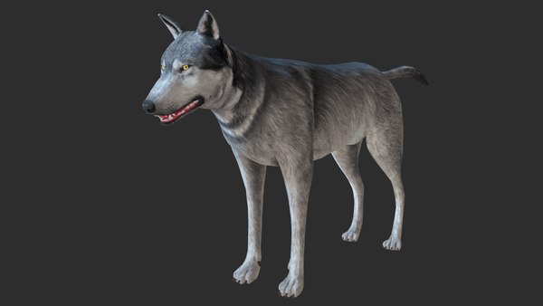 modelo 3d Lobo - TurboSquid 1682643