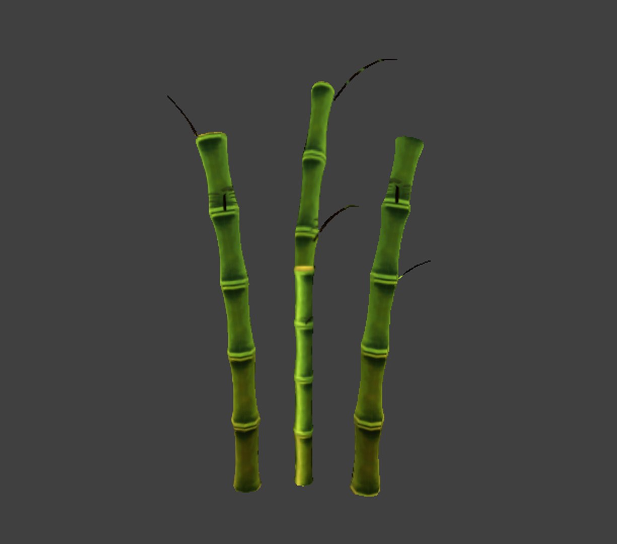 Bamboo Bambu 3D Model - TurboSquid 1301248