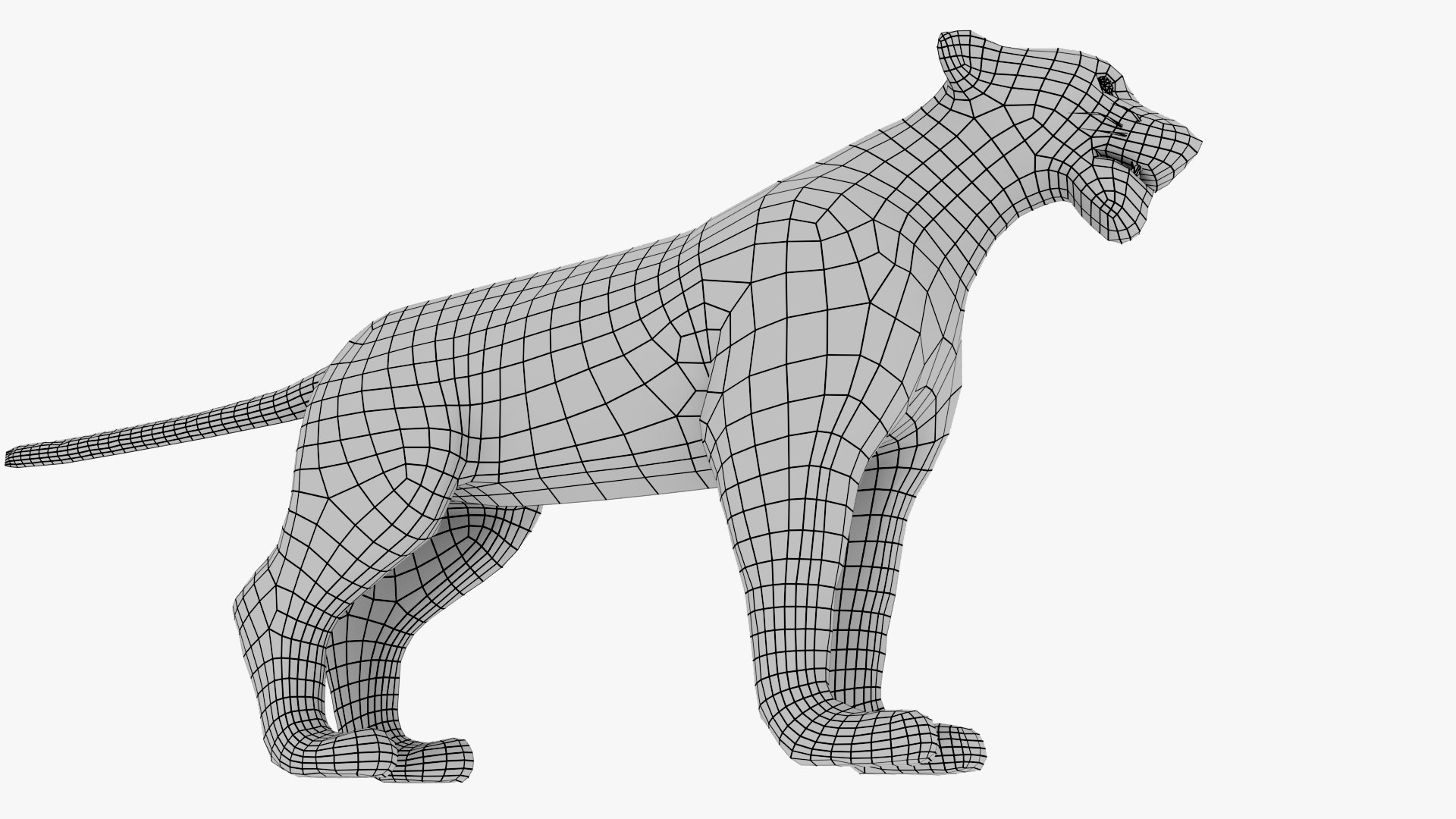 Cartoon Big Cat Base model - TurboSquid 2152491
