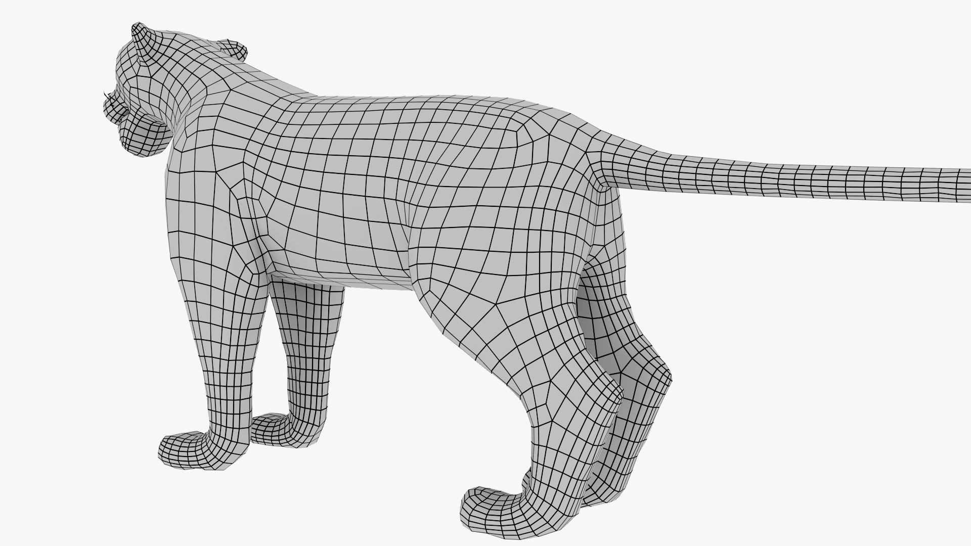 Cartoon Big Cat Base model - TurboSquid 2152491