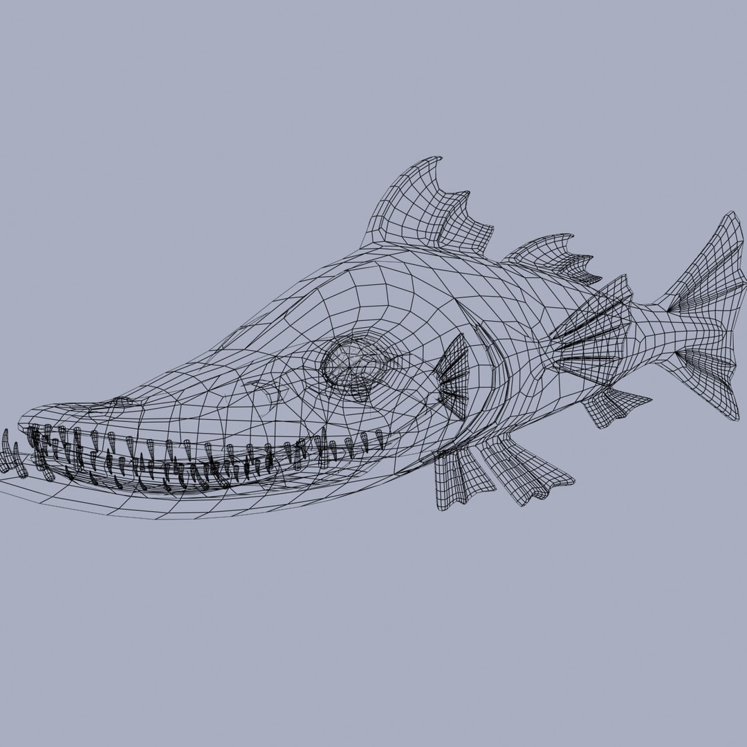 3ds Cartoon Barracuda Ged