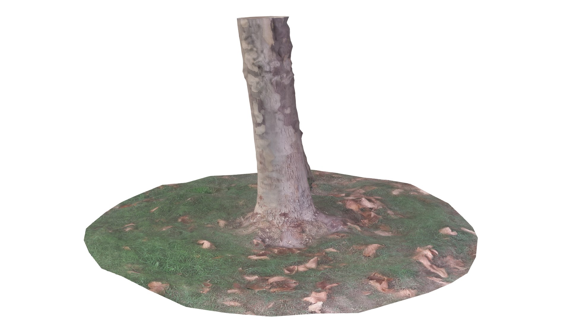 3D trunk scan - TurboSquid 1608176