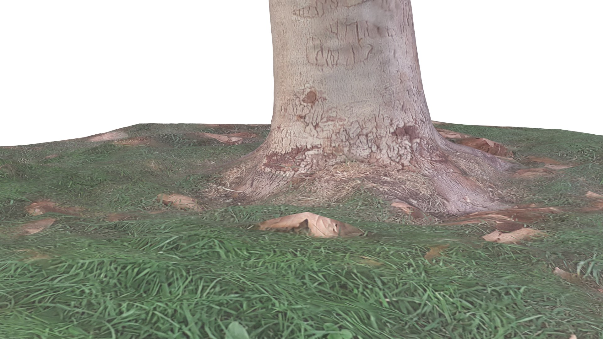 3D trunk scan - TurboSquid 1608176