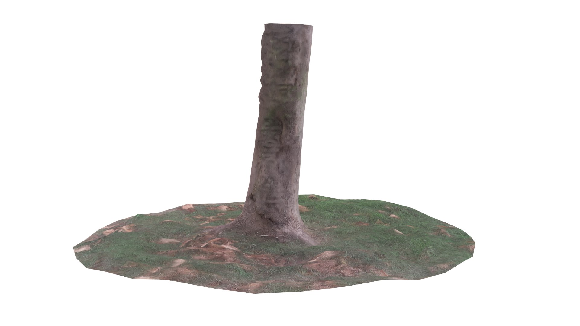 3D trunk scan - TurboSquid 1608176