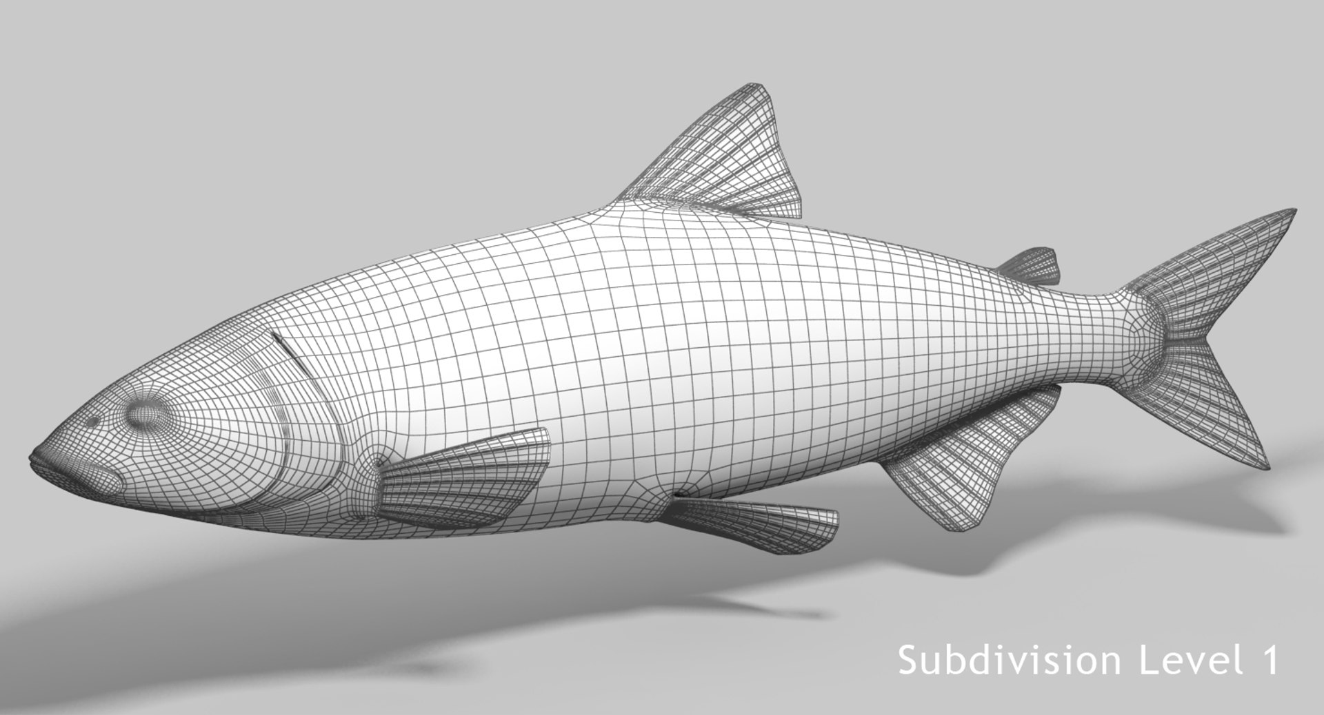 3d Model Whitefish Animation
