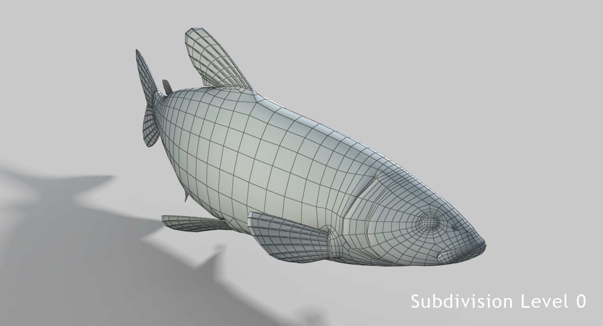 3d Model Whitefish Animation