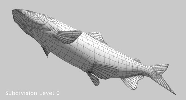 3d model whitefish animation