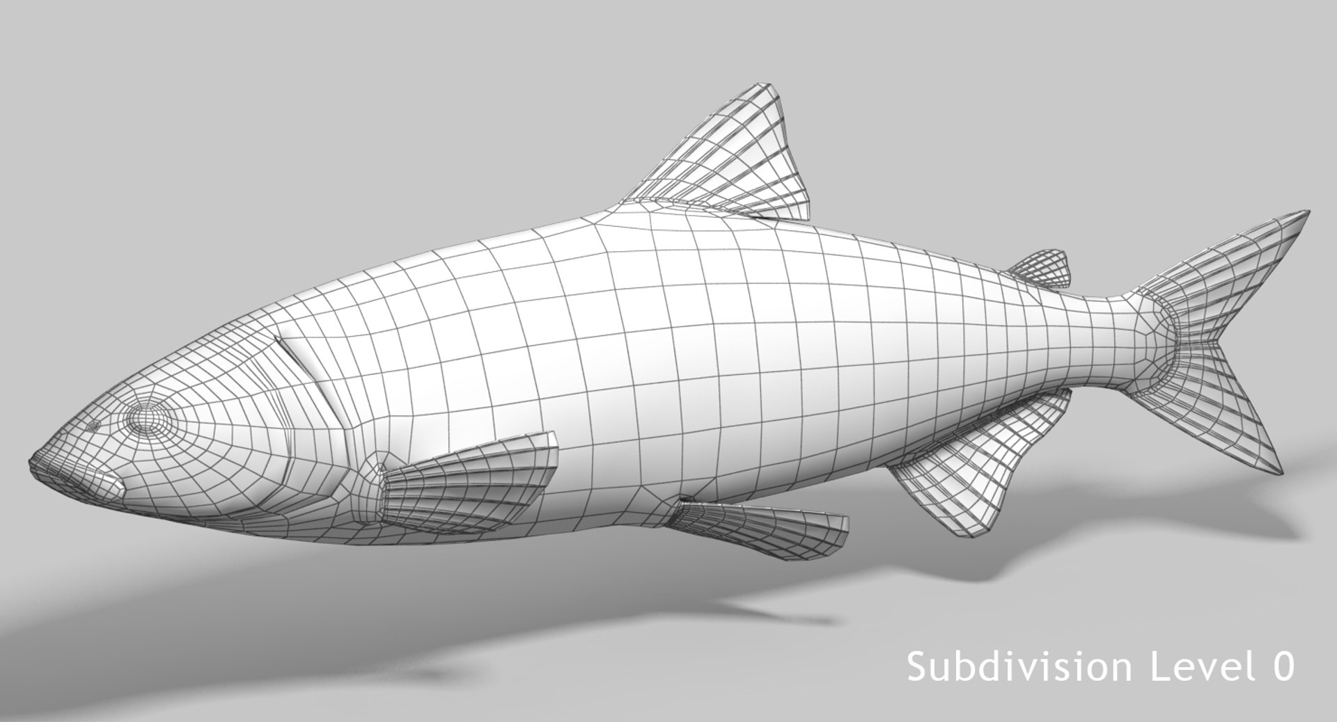 3d Model Whitefish Animation