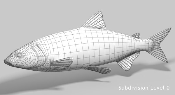 3d model whitefish animation