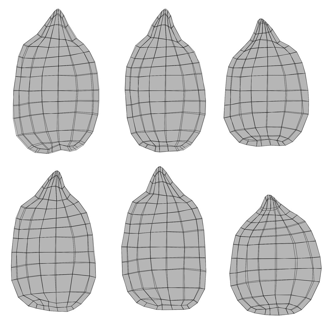 3D Sunflower seed - TurboSquid 1772205