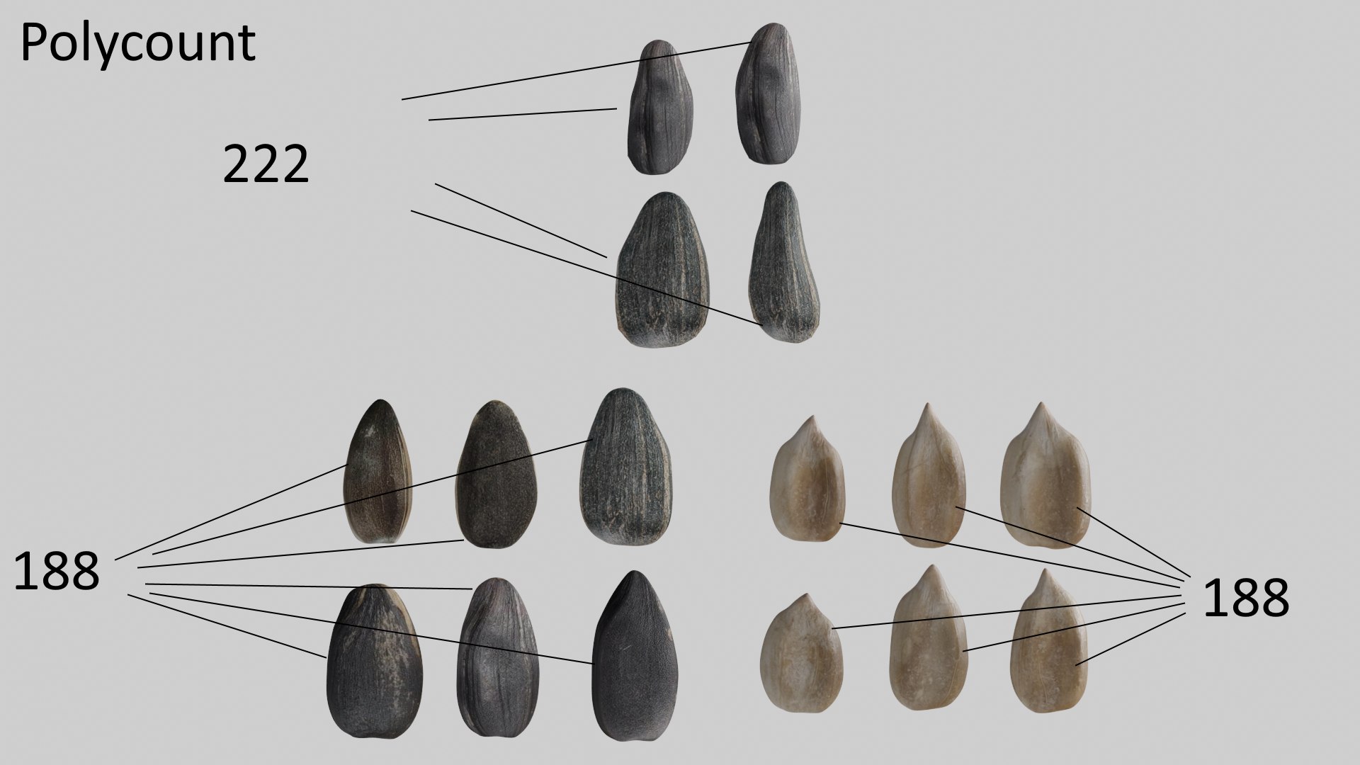 3D Sunflower seed - TurboSquid 1772205