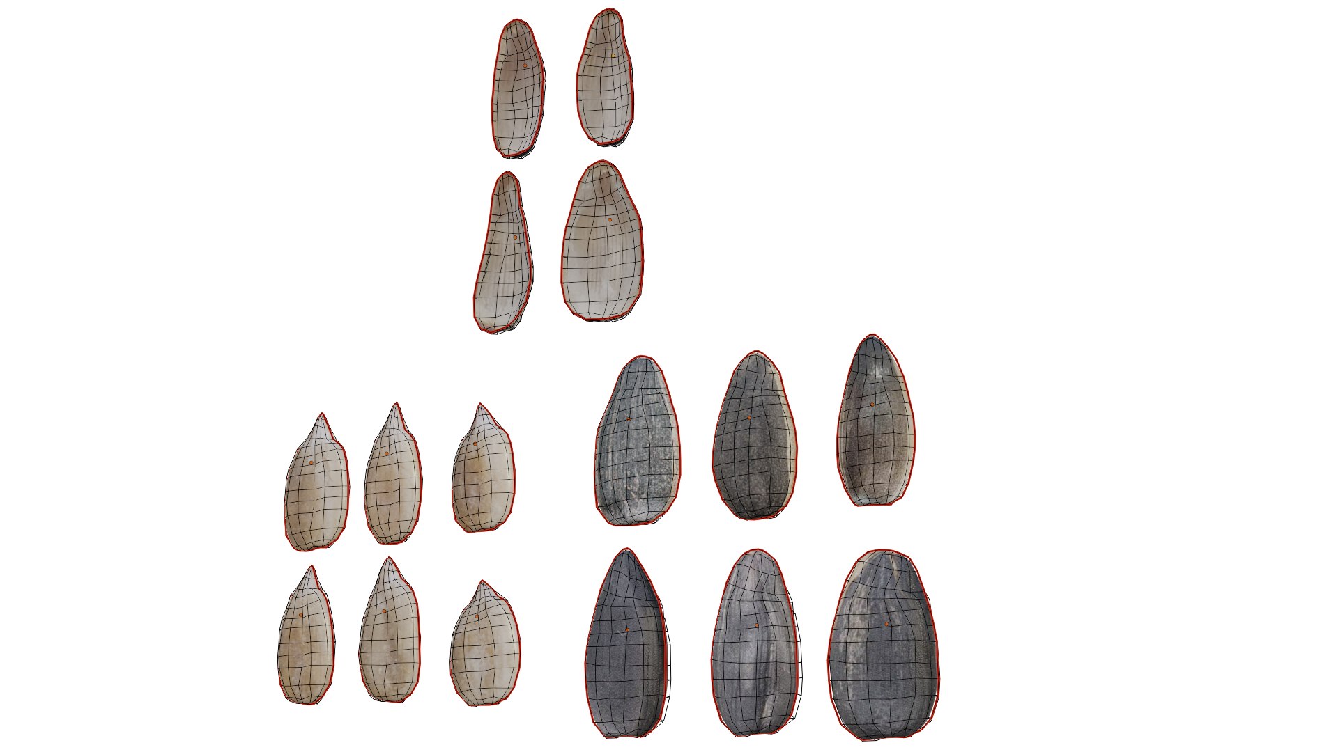 3D Sunflower seed - TurboSquid 1772205