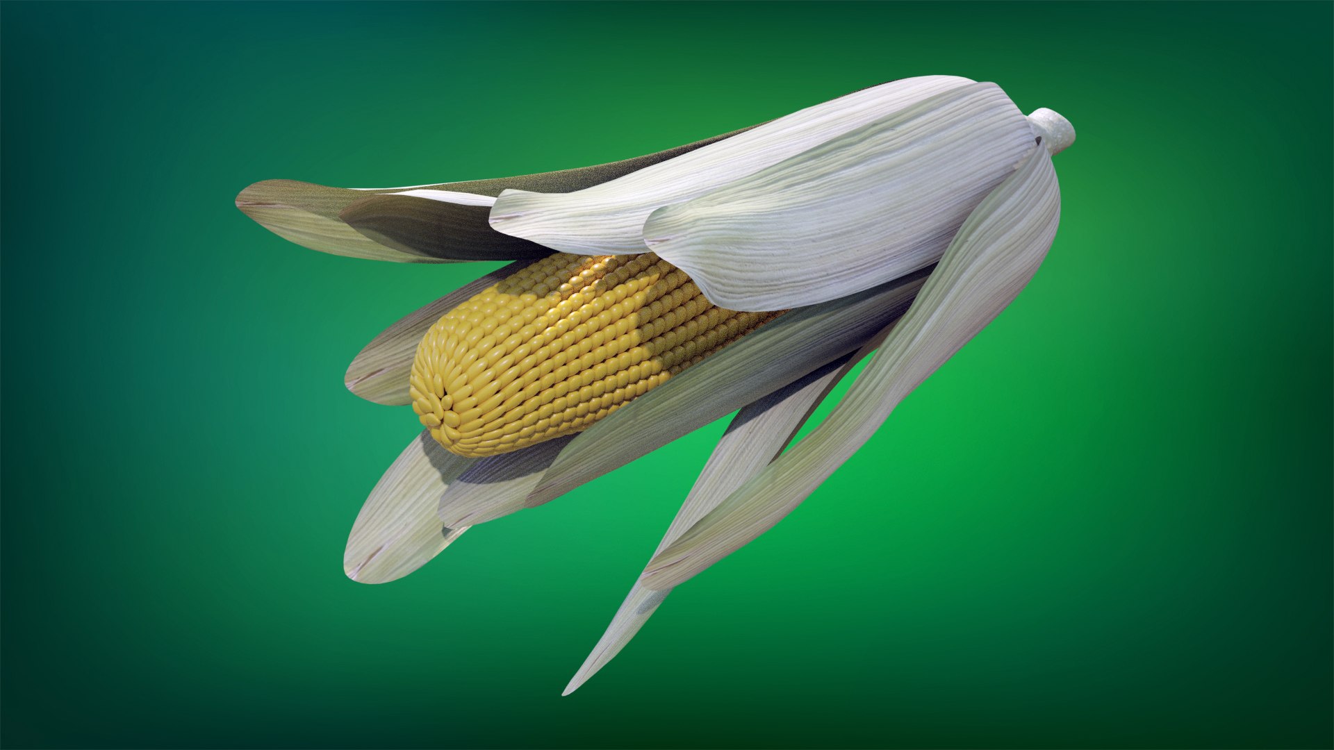 Corn 3D Model - TurboSquid 1929143