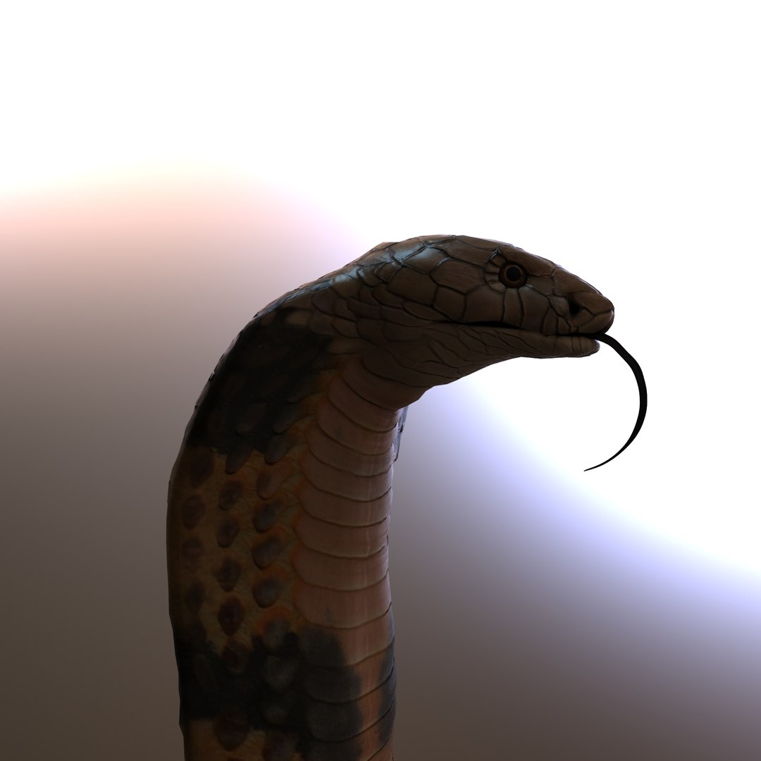Snake Realistic 3D - TurboSquid 1379130