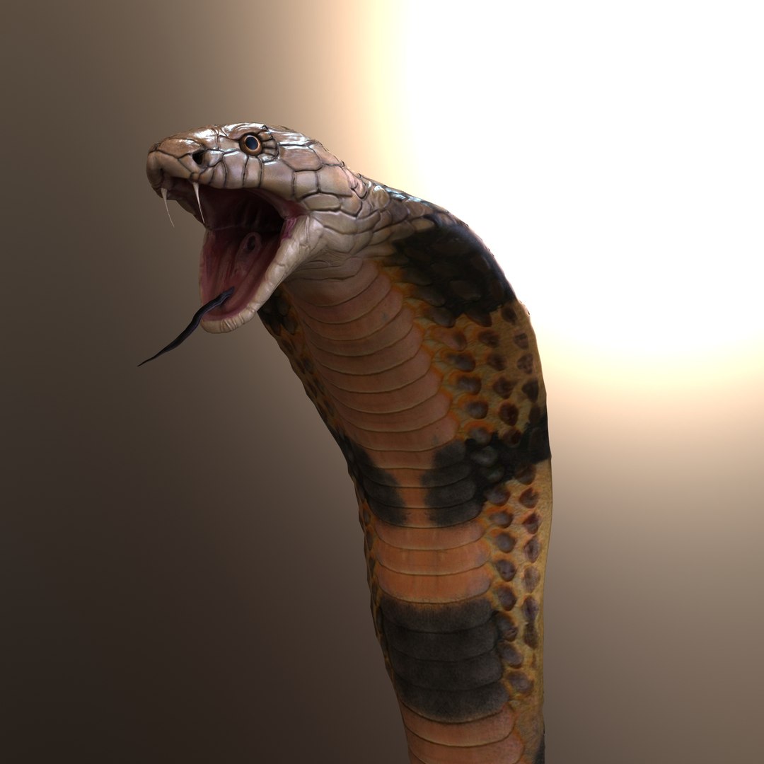 Snake Realistic 3D - TurboSquid 1379130