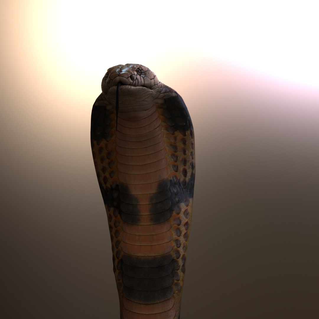 Snake Realistic 3D - TurboSquid 1379130