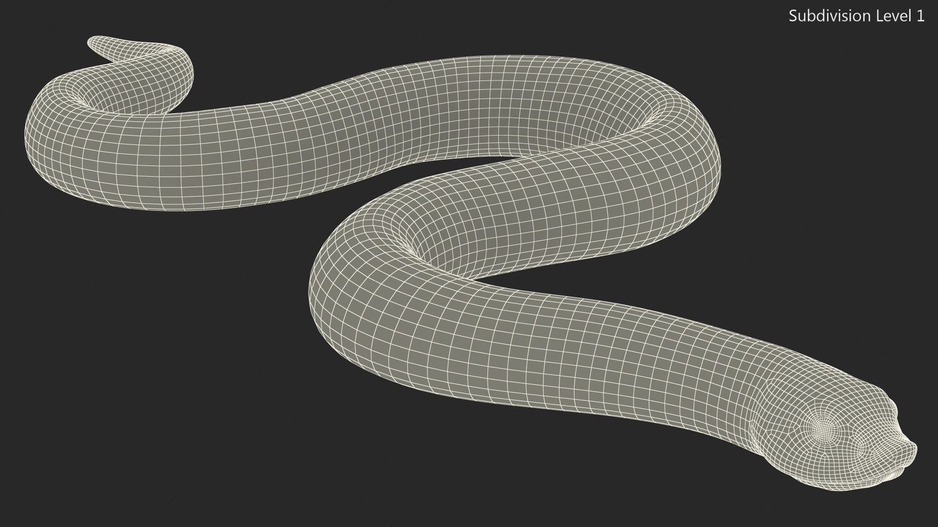 3D hognose snake crawling - TurboSquid 1475437