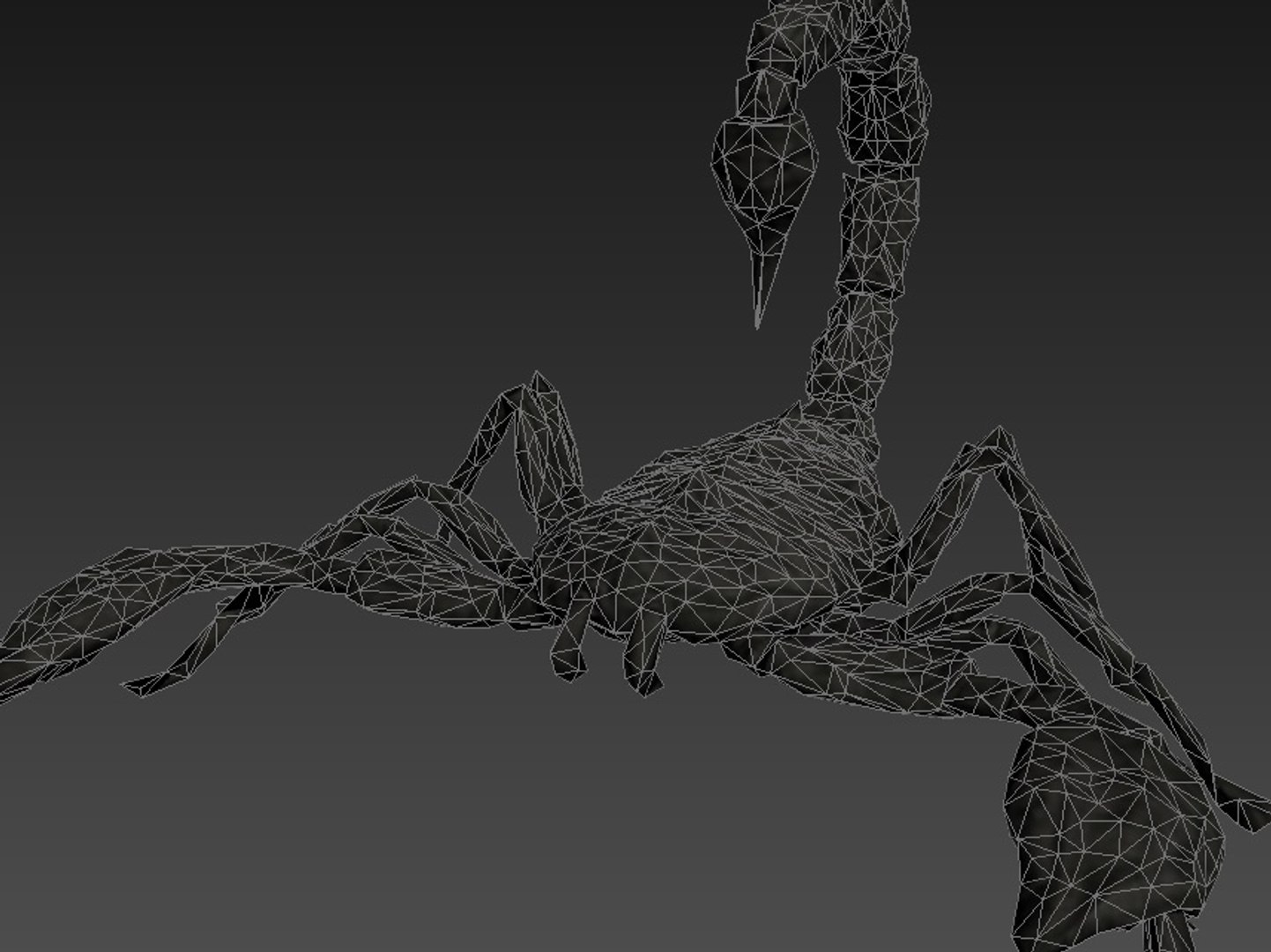 3d Scorpion Rigged Model
