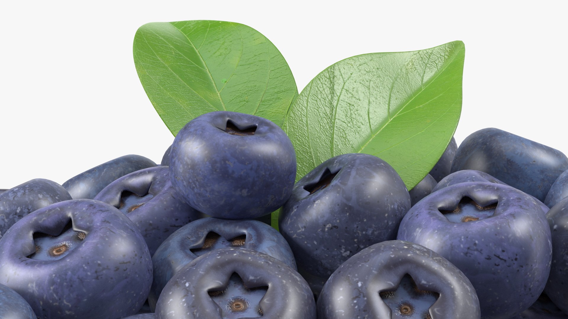 3D Bunch Of Garden Ripe Blueberries - TurboSquid 2073106