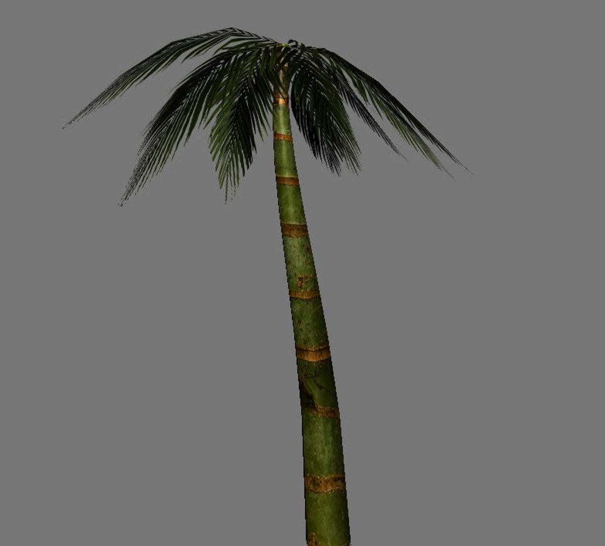 Free Palm Trees 3d Model
