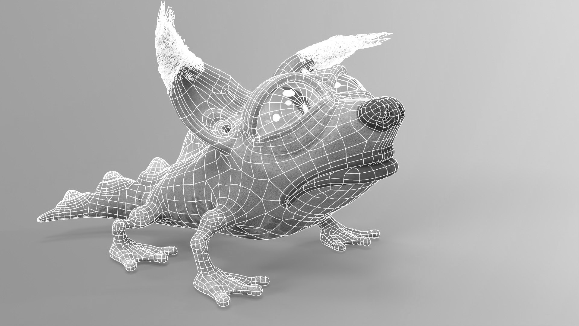 Amphibian Cat Rig 3D Model - TurboSquid 1695523