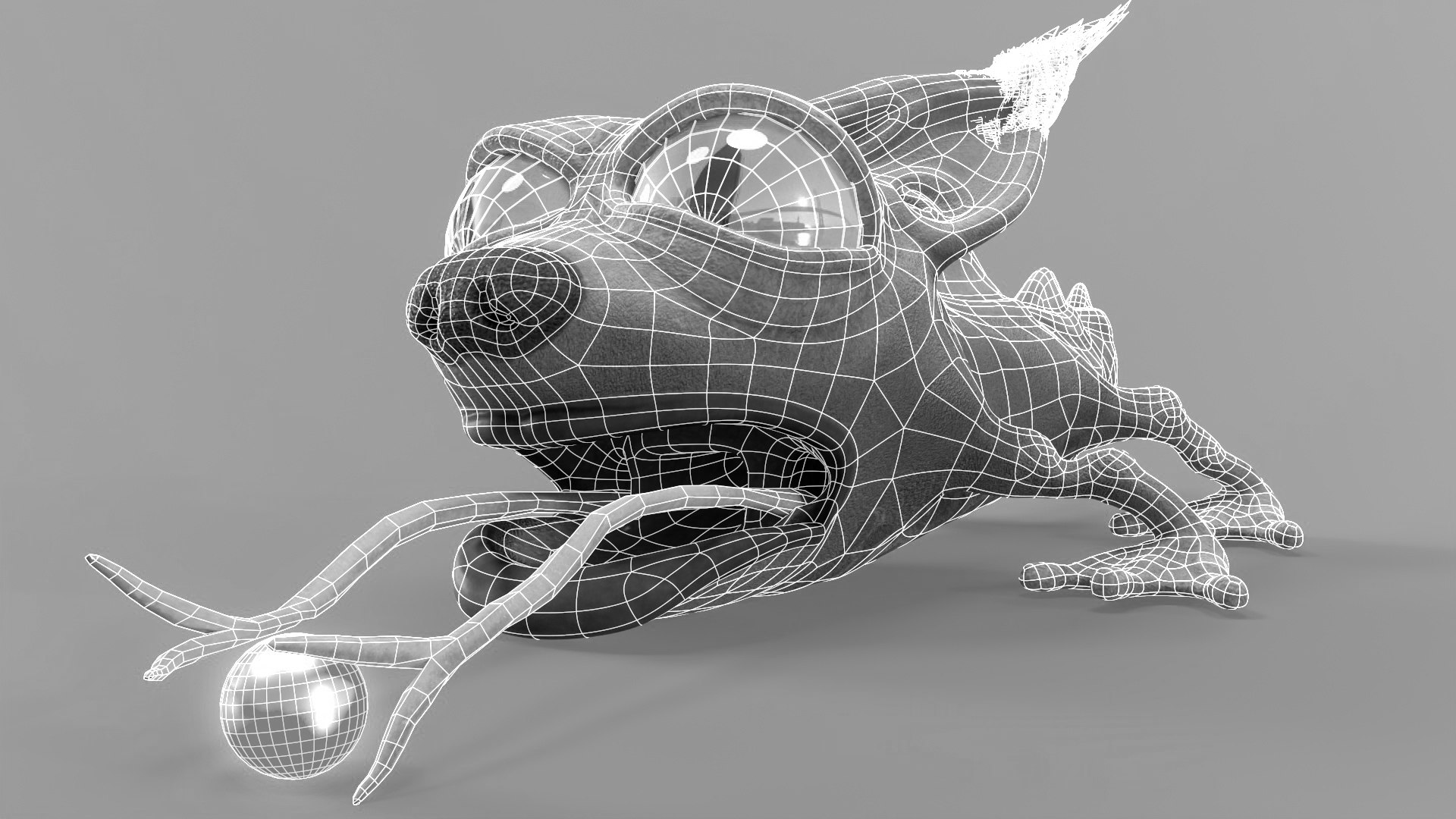 Amphibian Cat Rig 3D Model - TurboSquid 1695523