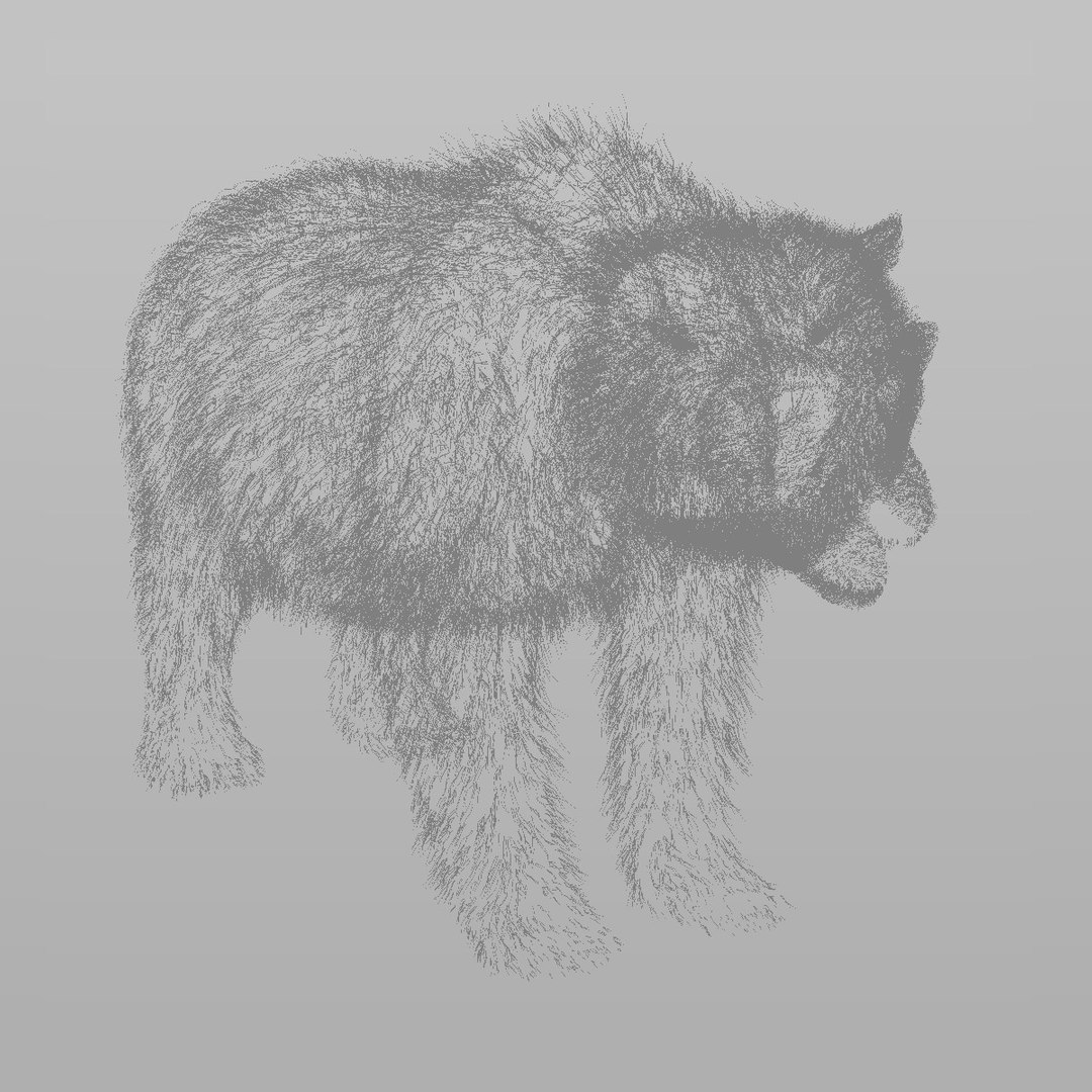 3d Model Bear Fur