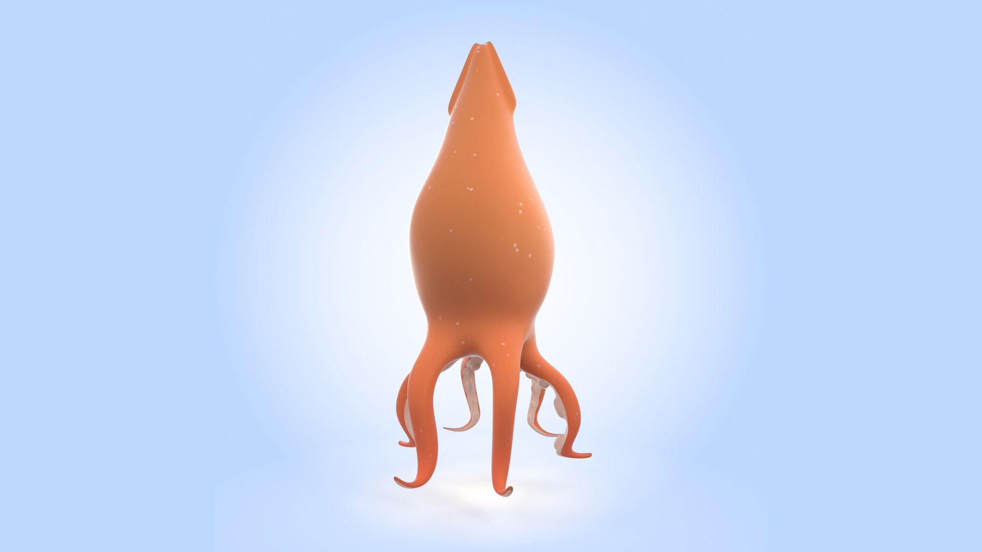 Squid 3D Model - TurboSquid 2098164
