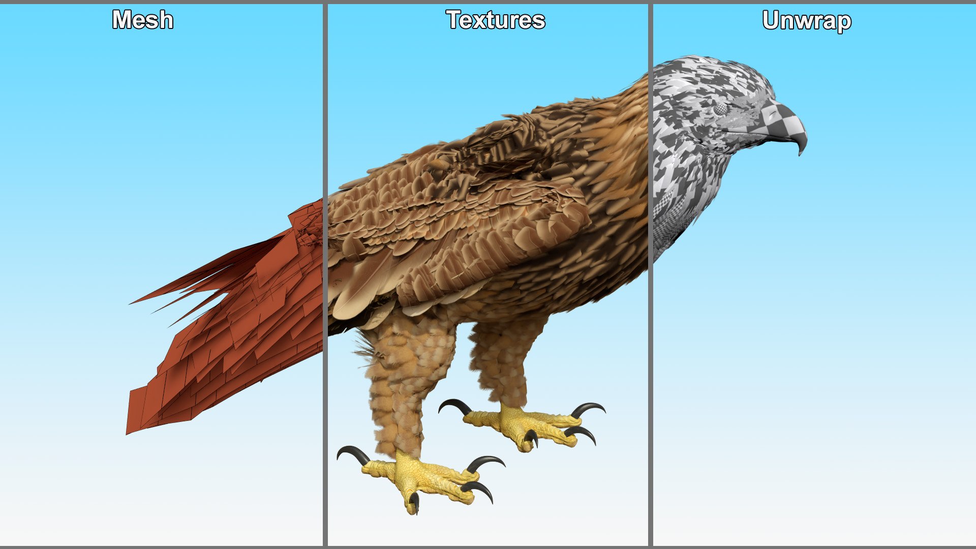 Imperial Eagle Standing Model - TurboSquid 2250056