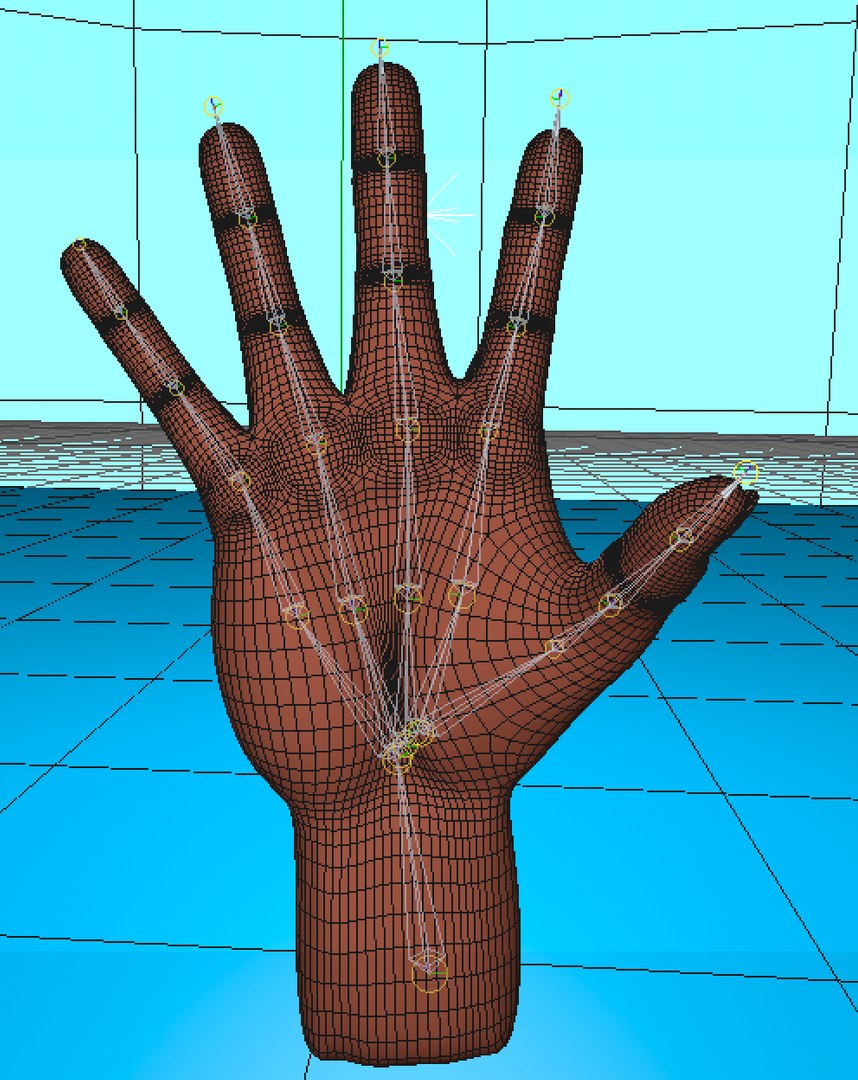 Rigged Dark Skinned Hand Model - TurboSquid 1335062