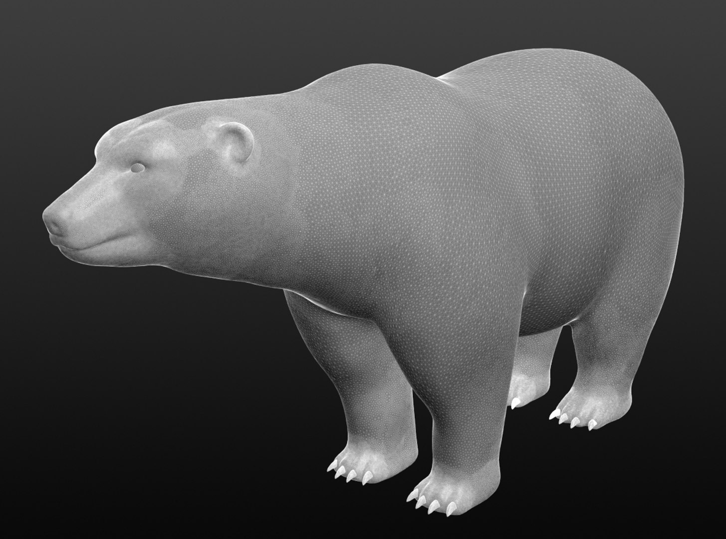 Polar Bear 3D Model - TurboSquid 1412457