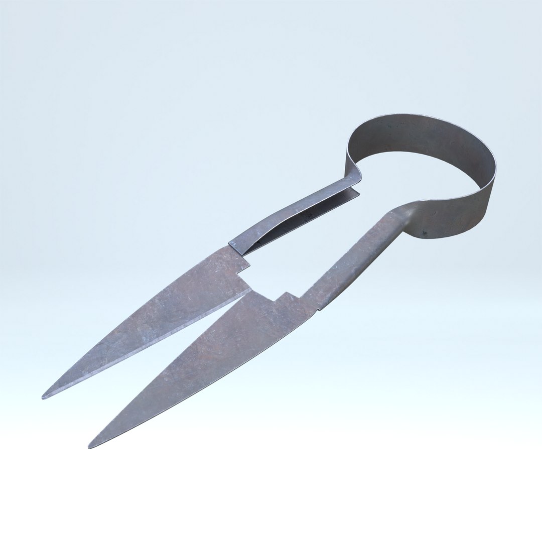 3D Medieval Scissors Model - TurboSquid 2402856