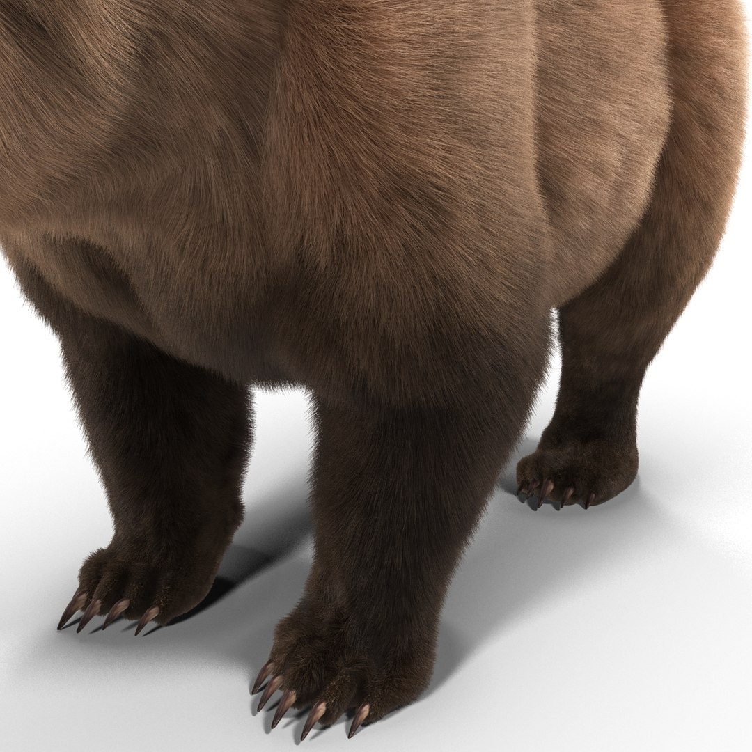 grizzly bear fur max