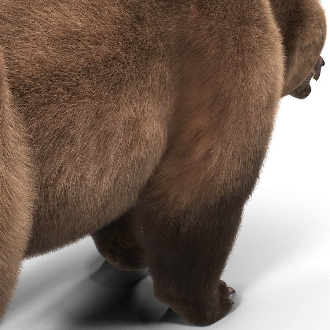 grizzly bear fur max