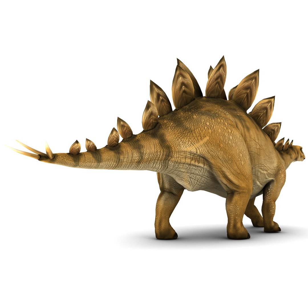 stegosaurus pose 1 3d model