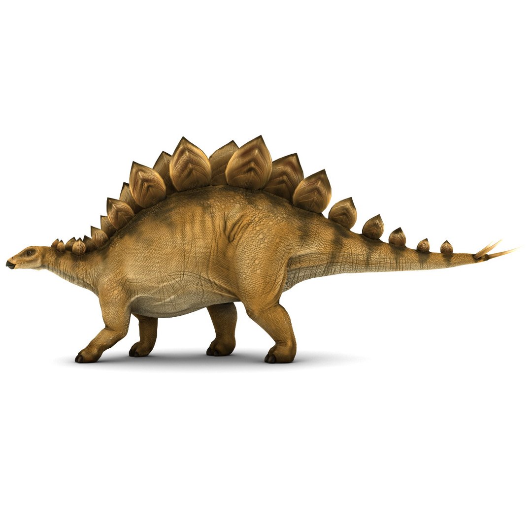 stegosaurus pose 1 3d model
