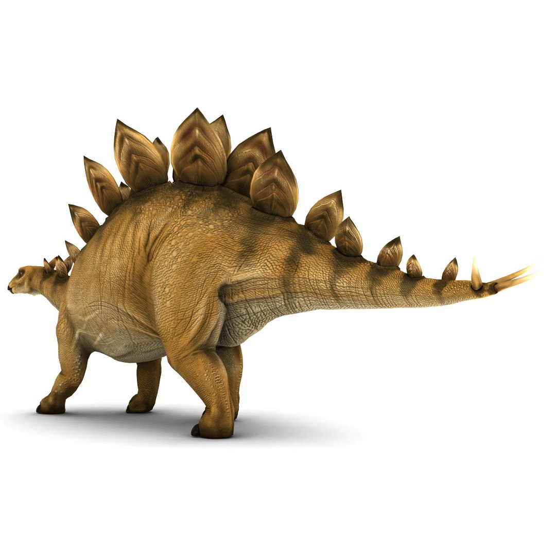 stegosaurus pose 1 3d model