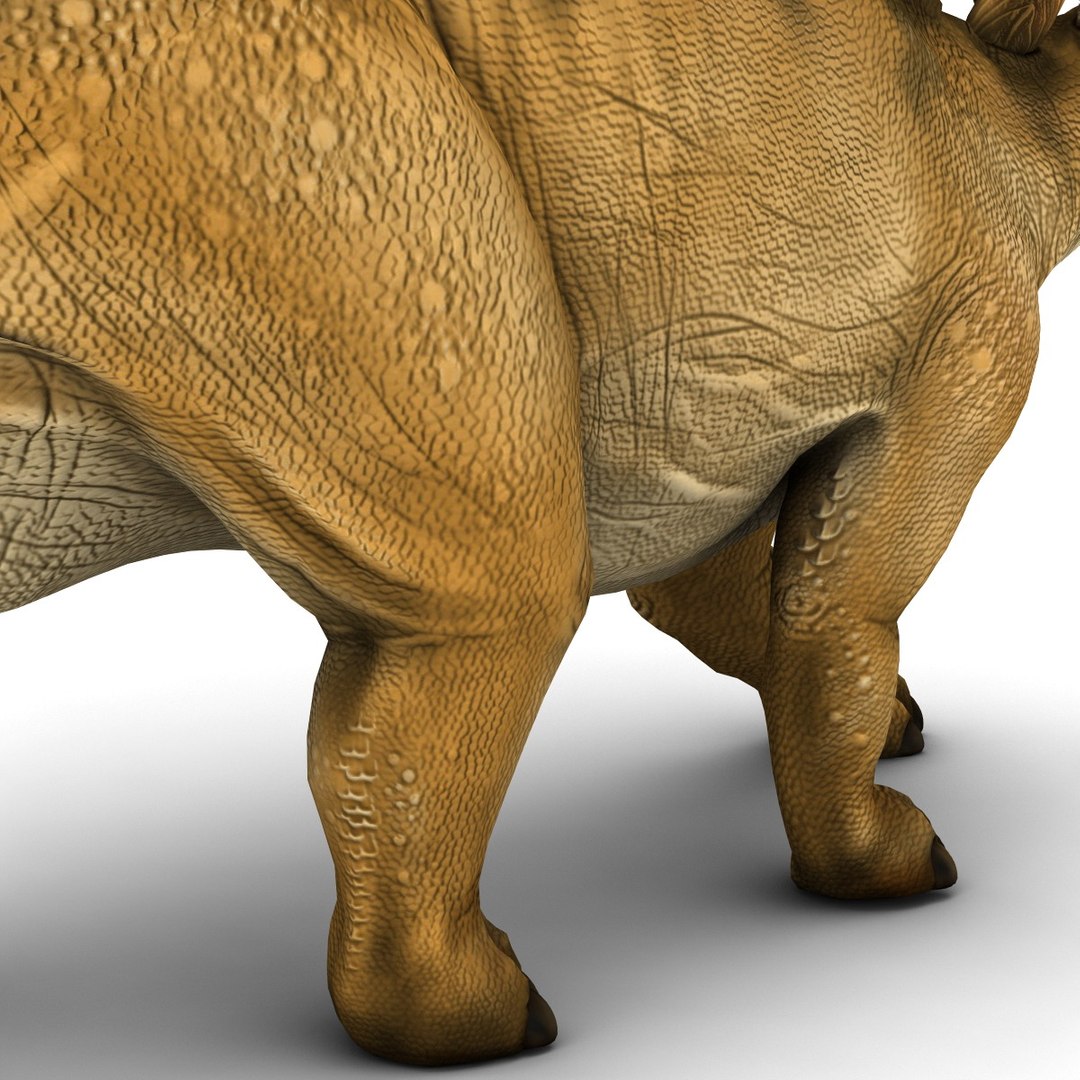 stegosaurus pose 1 3d model