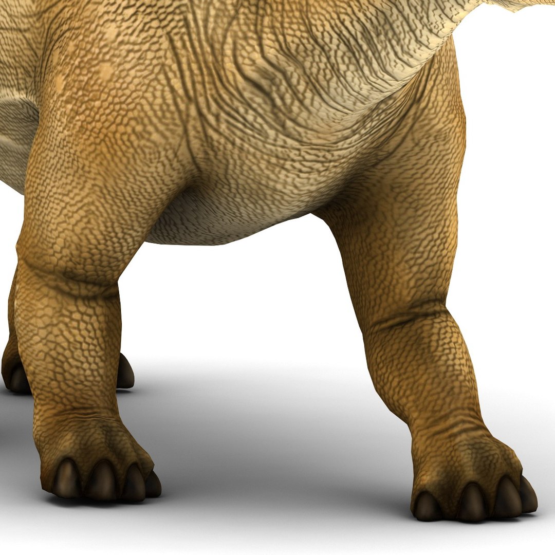 stegosaurus pose 1 3d model