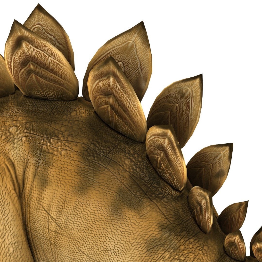 stegosaurus pose 1 3d model