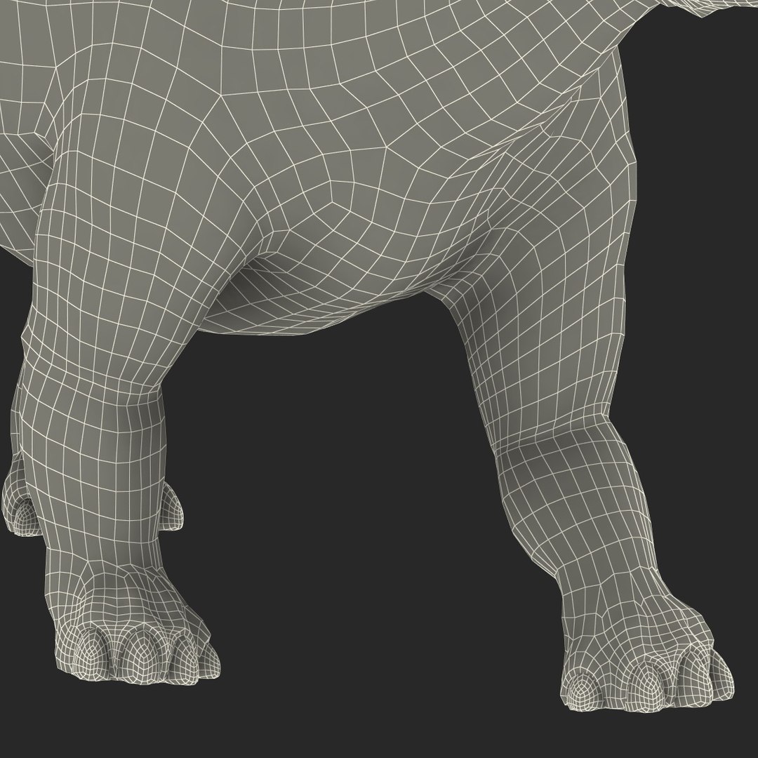 stegosaurus pose 1 3d model