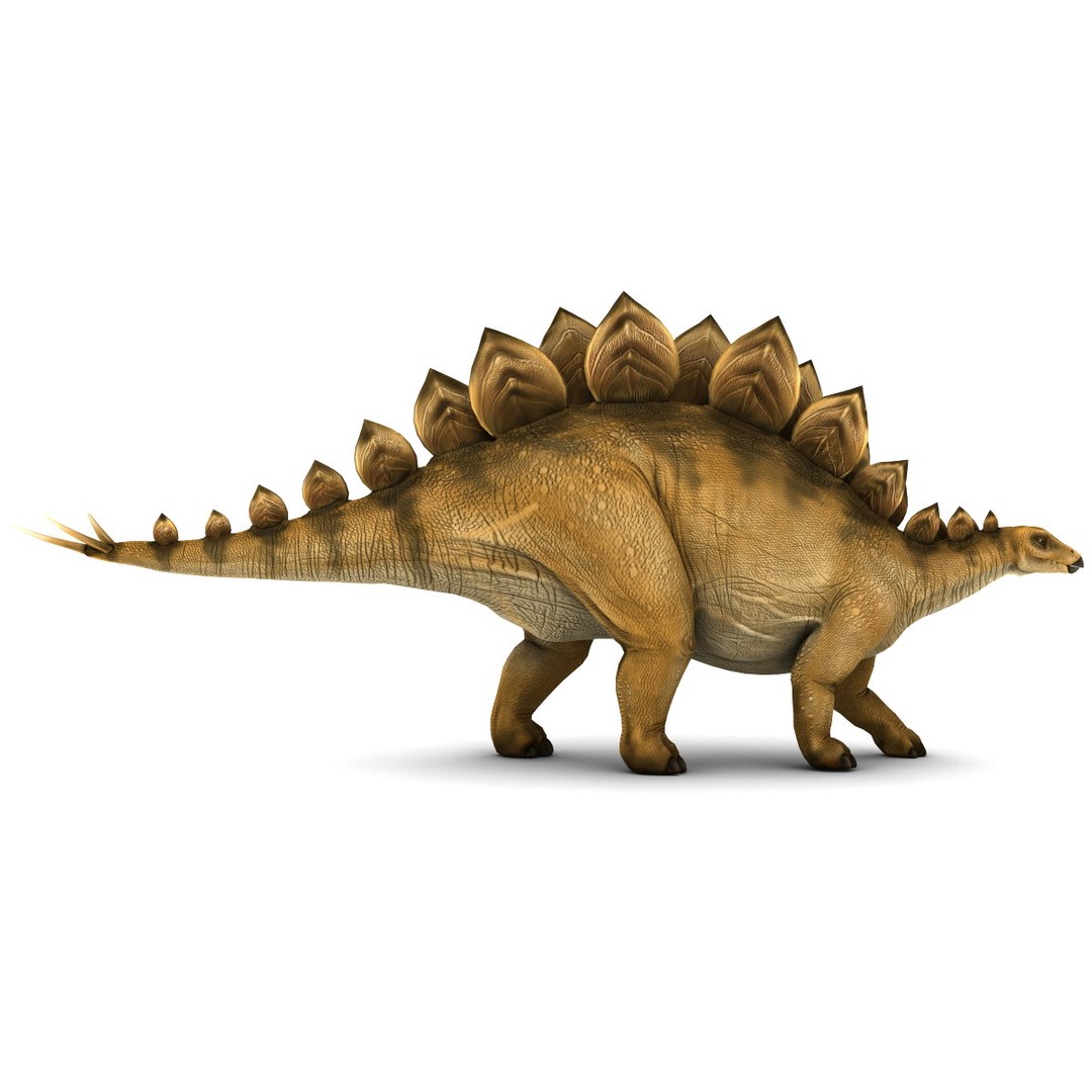 stegosaurus pose 1 3d model