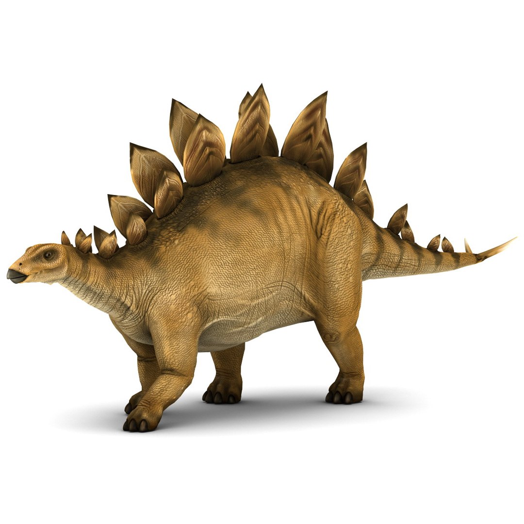 stegosaurus pose 1 3d model